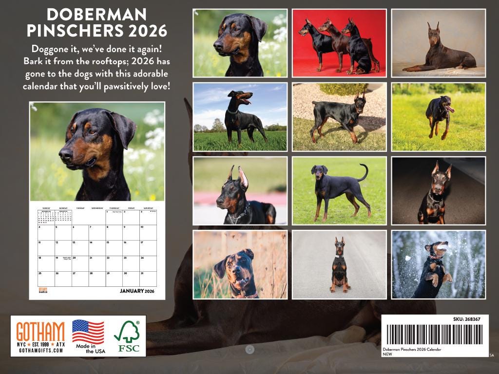 Doberman Calendar 2026 Monthly Wall Calender 12 Month | American Made ...