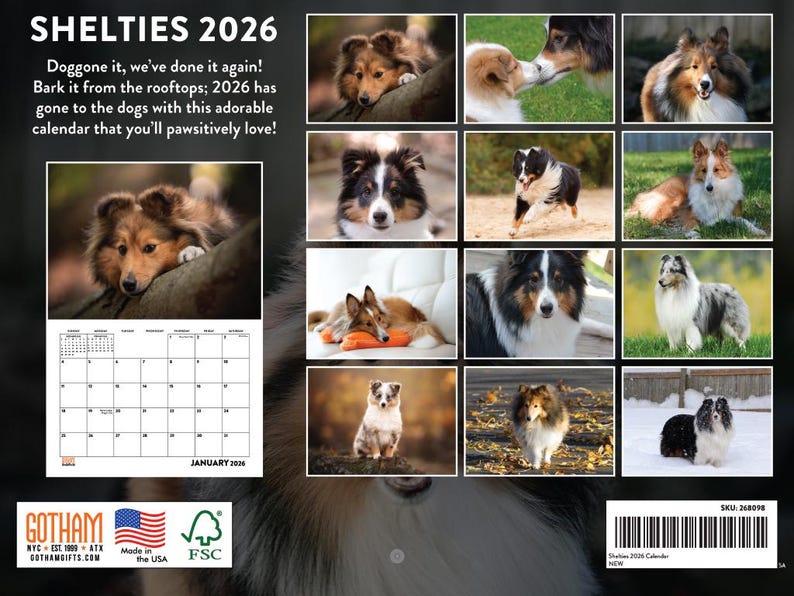 Sheltie Calendar 2026 Shetland Sheepdogs Monthly Wall Calender 12 Month ...