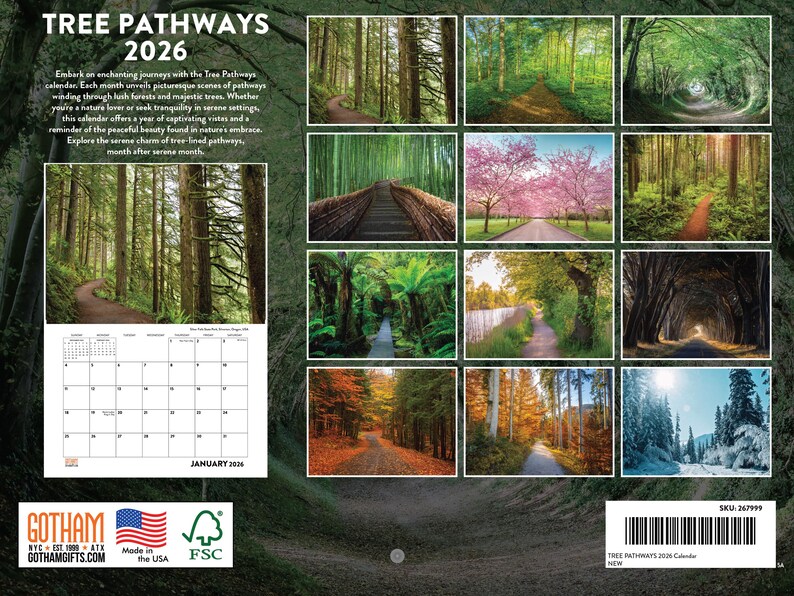 Tree Pathways 2026 Wall Calendar | Forest Nature Photography, Made in ...