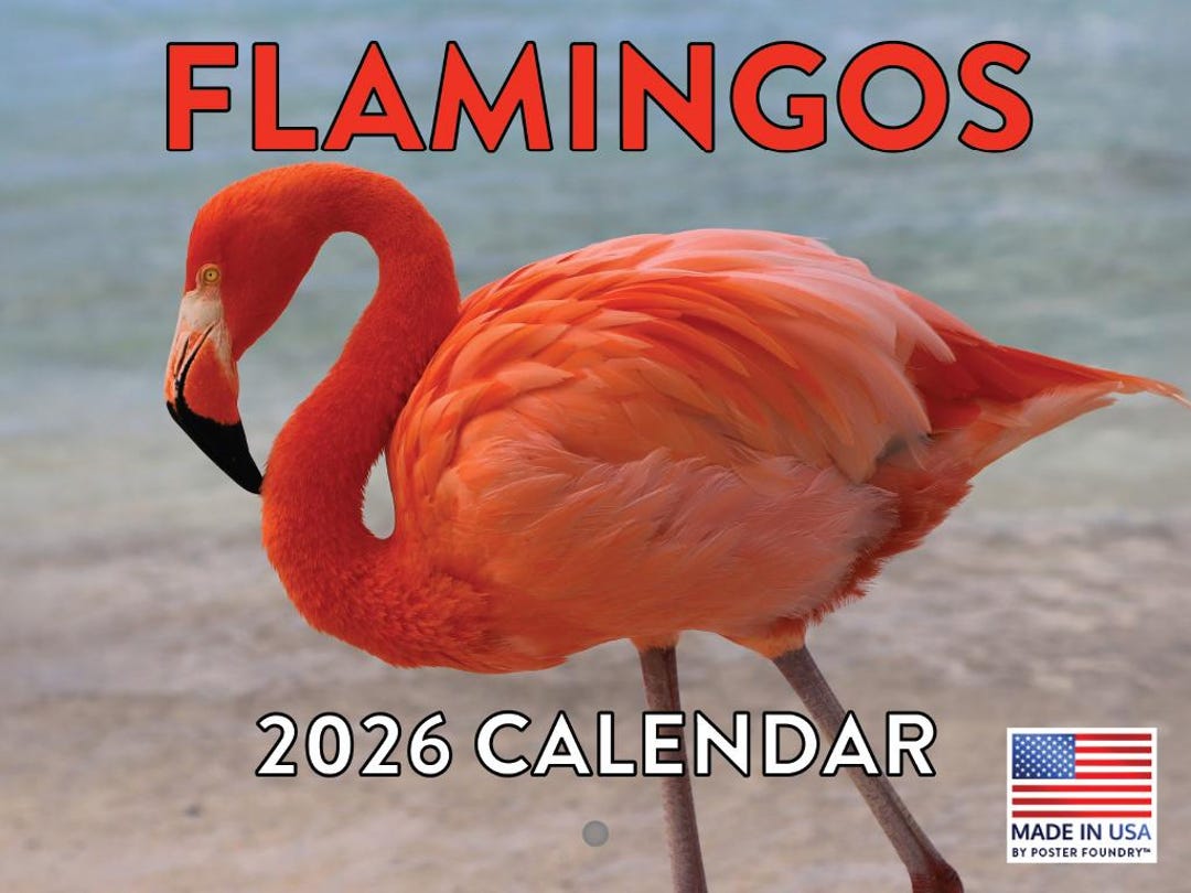 Flamingo Calendar 2026 Monthly Wall Calender 12 Month | American Made ...