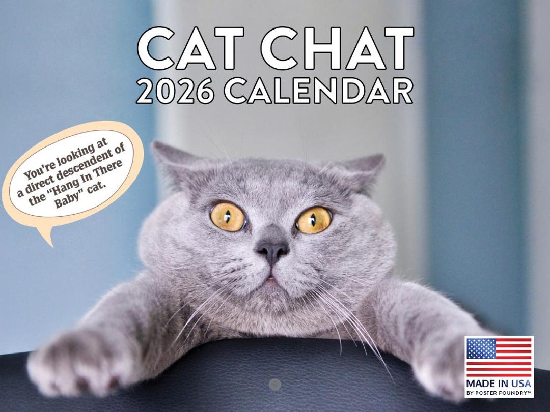 Funny Cat Calendar 2026 Monthly Wall Calender 12 Month | American Made ...
