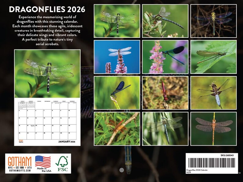 Dragonfly Calendar 2026 Monthly Wall Calender 12 Month | American Made ...