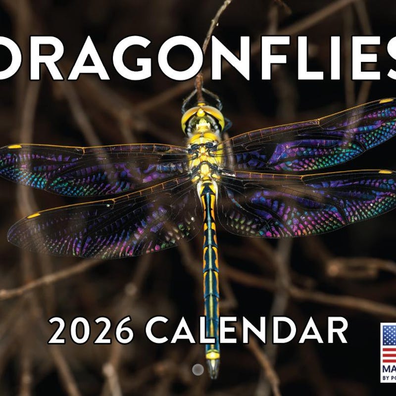 Dragonfly Ornaments - Etsy