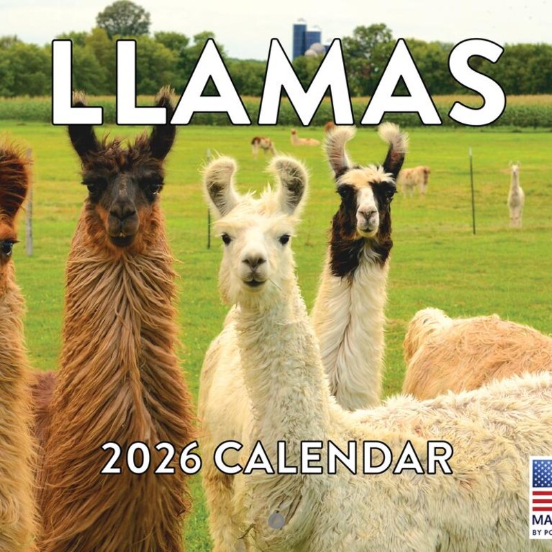 Llama Llamas - Etsy