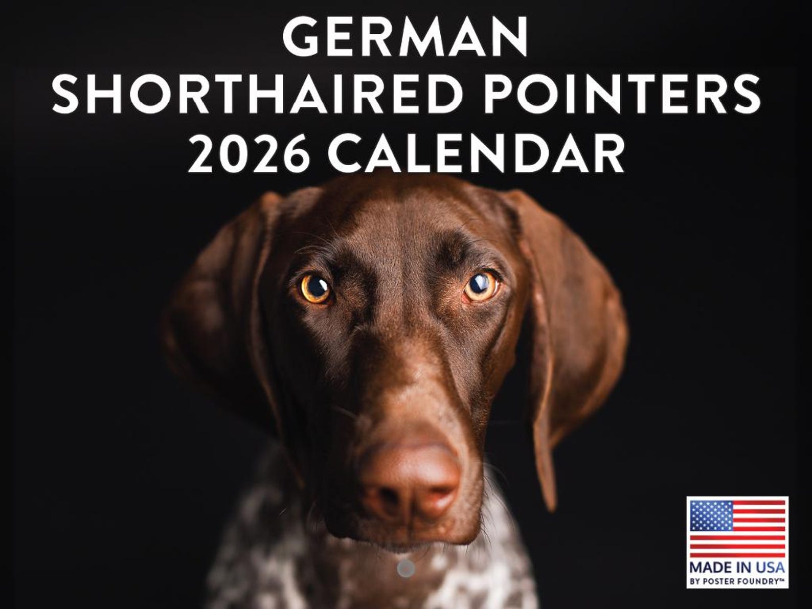 German Shorthaired Pointer Calendar 2026 | GSP Monthly Wall Calendar - Etsy