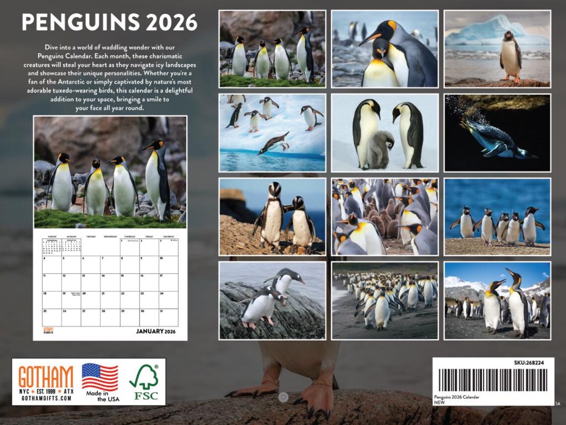 Penguin Calendar 2026 Monthly Wall Calender 12 Month | American Made in ...