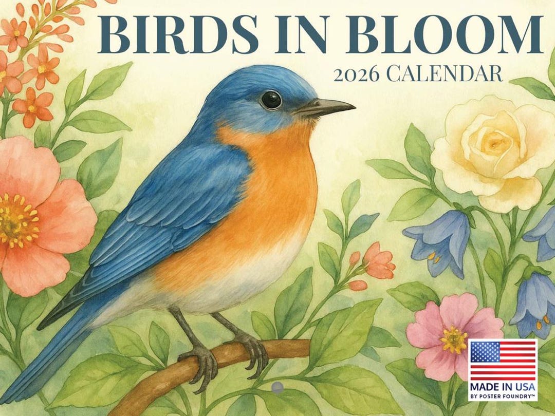 Watercolor Birds 2026 Calendar | Monthly Wall Art, Made in USA - Etsy