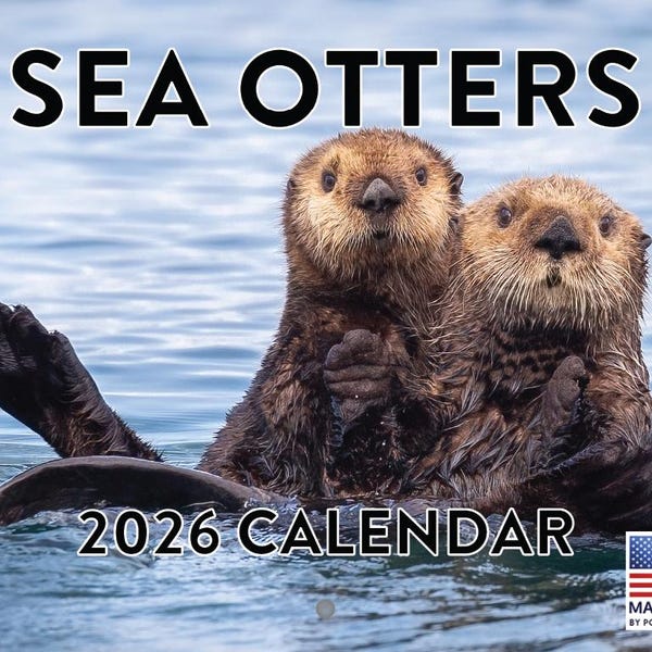 Otter Calendar 2026 - Etsy