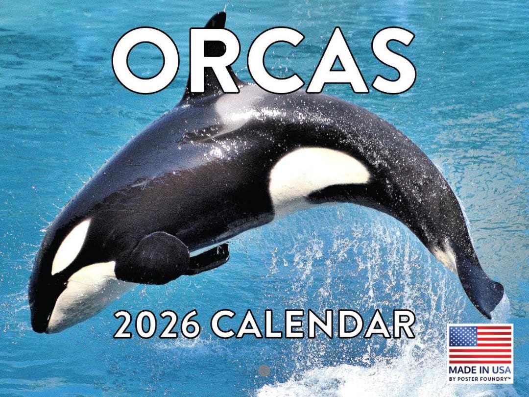 Orca Calendar 2026 Killer Whale Monthly Wall Calender 12 Month ...