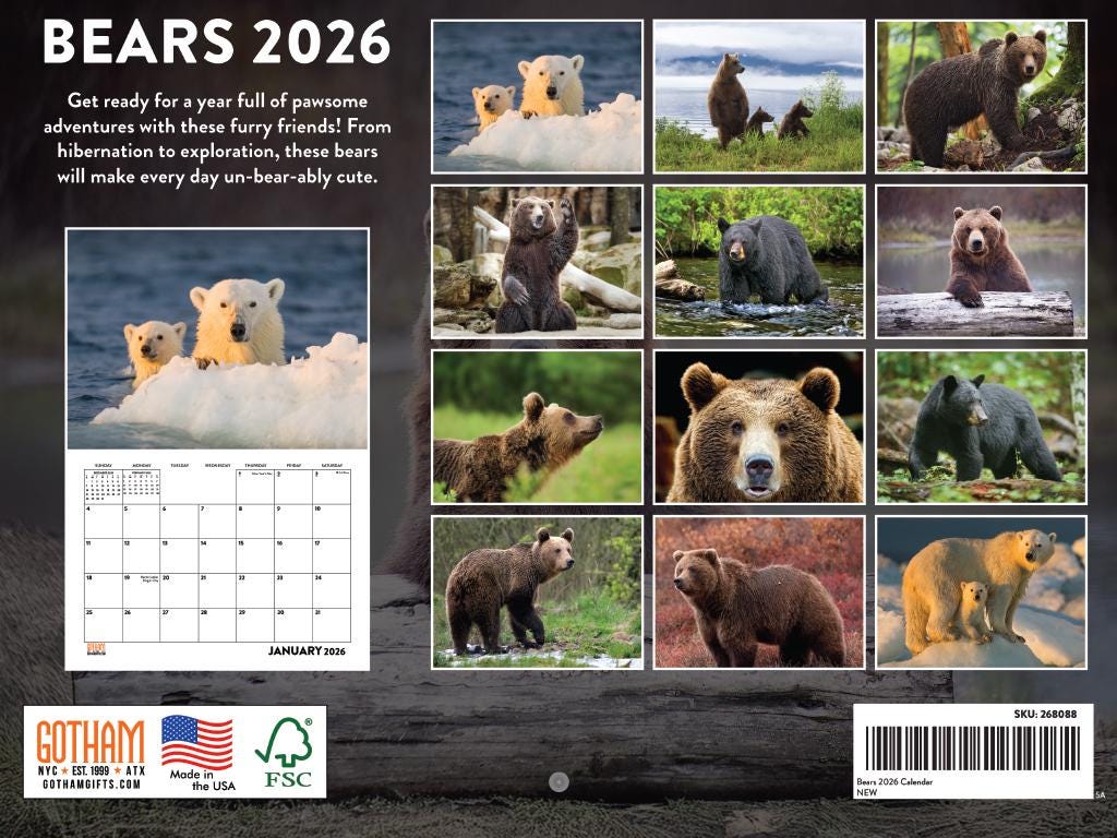 Bear Calendar 2026 Bears Monthly Wall Calender 12 Month | American Made ...