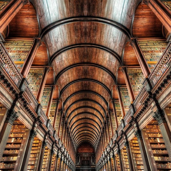 Long Library Prints - Etsy