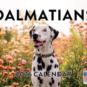 Dalmatian Calendar 2026 - Etsy