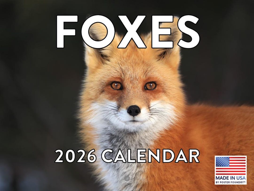 Fox Calendar 2026 Foxes Monthly Wall Calender 12 Month | American Made ...