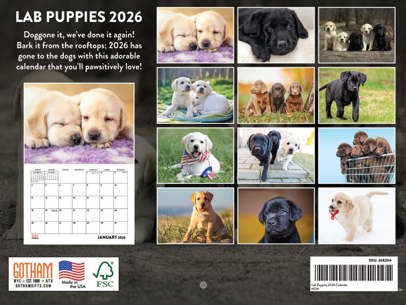 Lab Puppy Calendar 2026 Labrador Puppies Monthly Wall Calender 12 Month ...