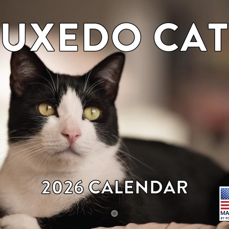 Tuxedo Cat 2026 Calendar - Etsy