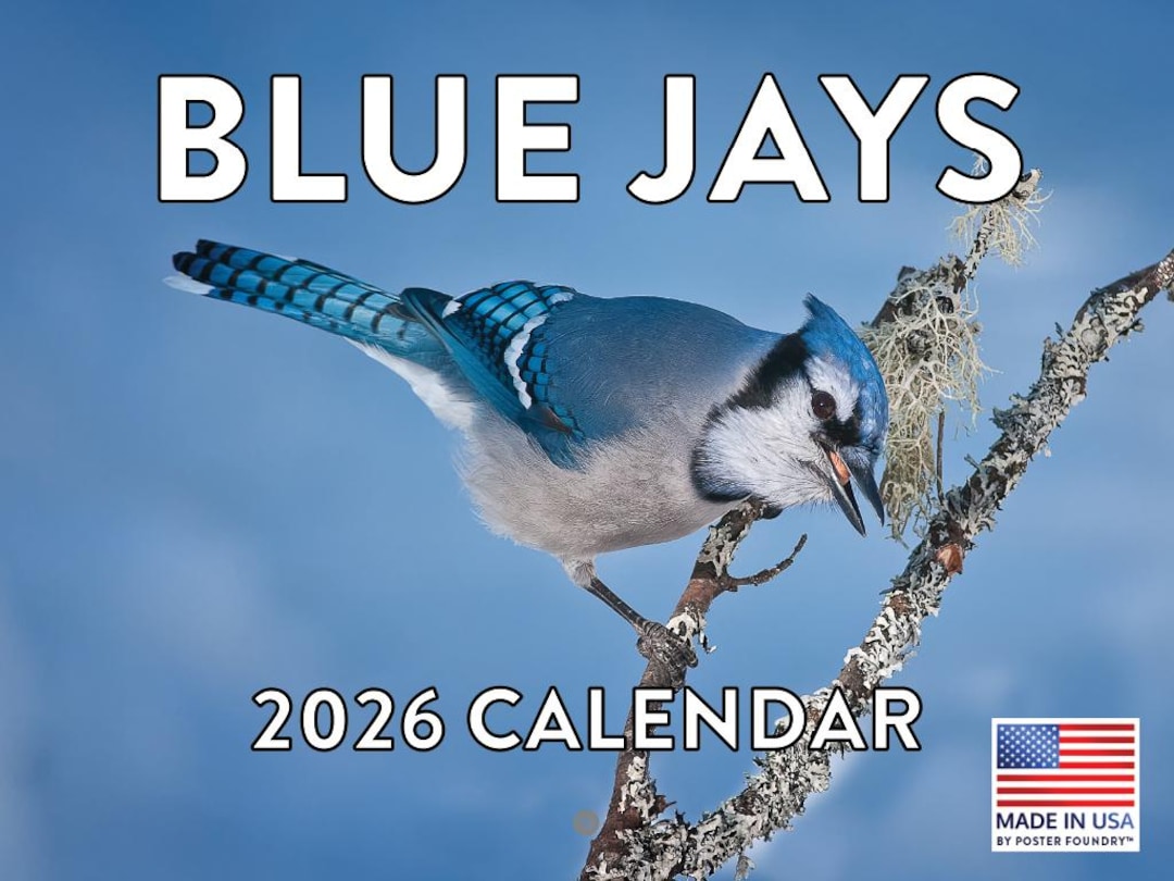 Blue Jay Calendar 2026 Monthly Wall Calender 12 Month | American Made ...