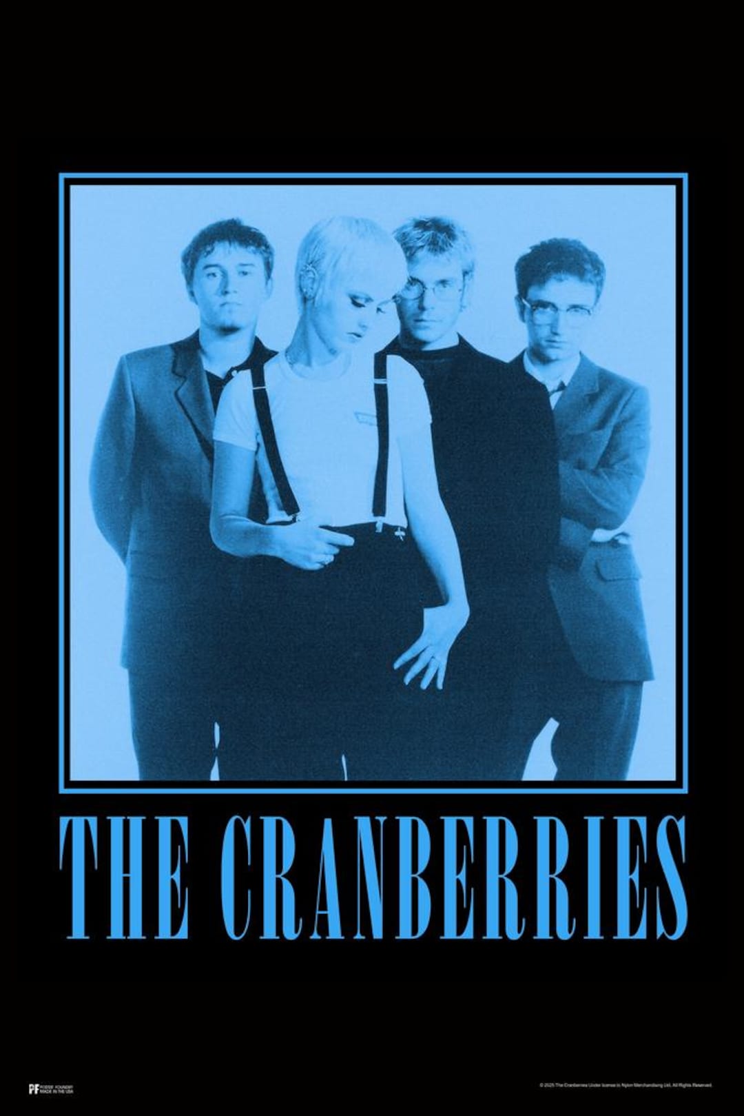 Cranberries Band NNTA Blue Cool Wall Art Print Poster 12x18 - Etsy