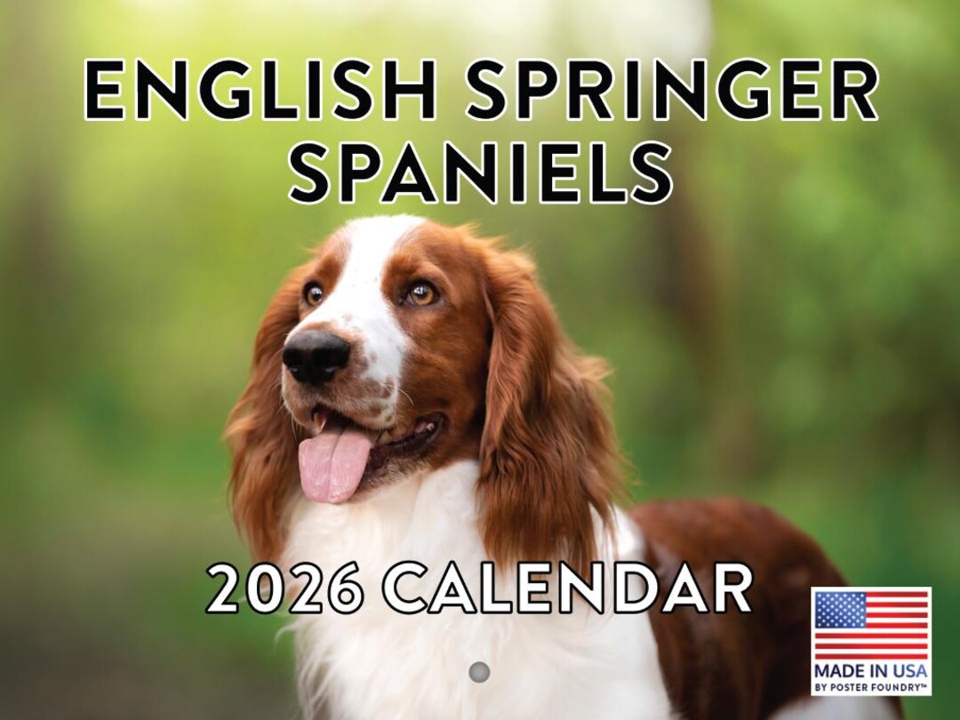English Springer Spaniel Calendar 2026 Monthly Wall Calender 12 Month ...