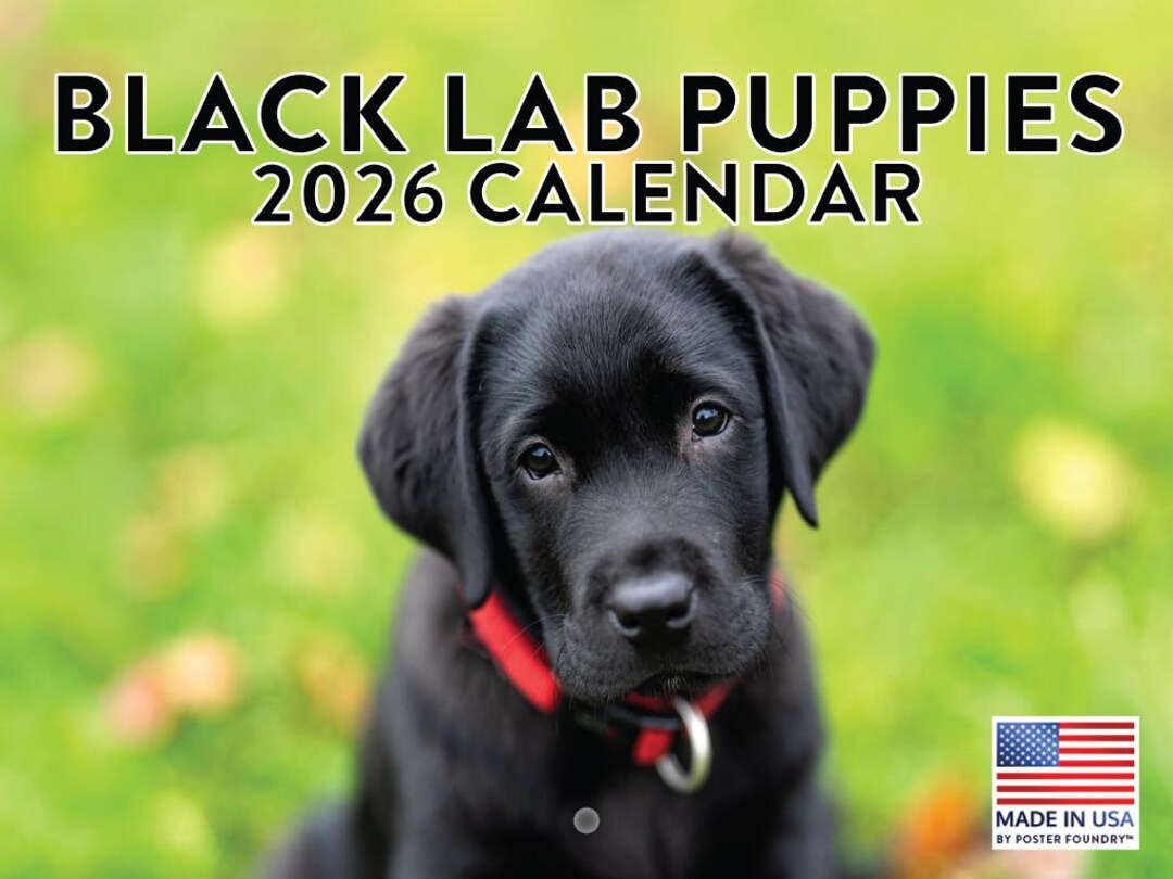 Black Lab Puppy Calendar 2026 | USA Made Monthly Wall Planner - Etsy