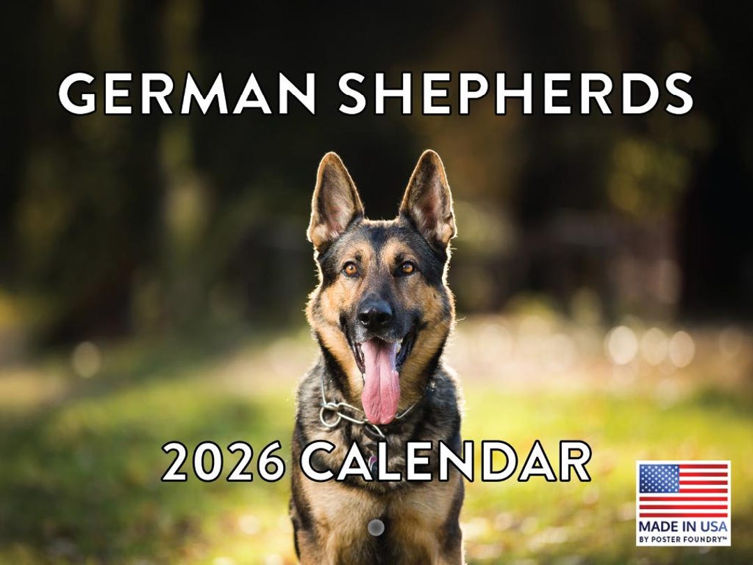 German Shepherd Calendar 2026 | Monthly Wall Calendar, USA Made - Etsy