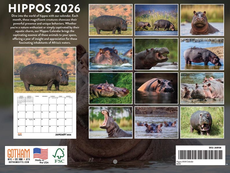 Hippo Calendar 2026 Hippopotamus Hippos Monthly Wall Calender 12 Month ...