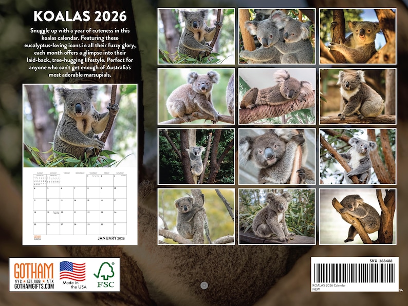 Koala Calendar 2026 Monthly Wall Calender 12 Month | American Made in ...