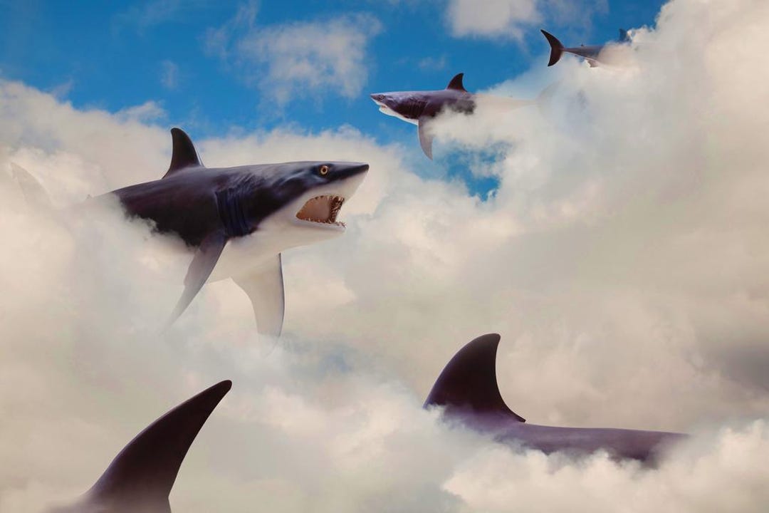 Sharks Floating in Clouds Photo Art Print Poster 18x12 - Etsy