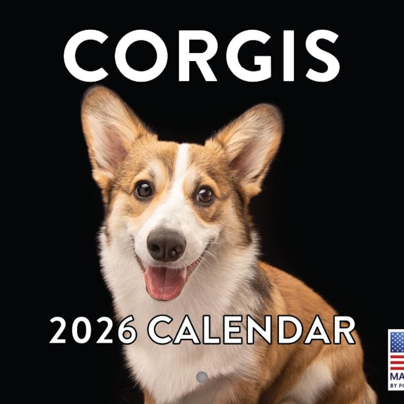 Corgi Wall Calendars - Etsy