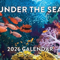 Welcome to Our Classroom Door Sign Display Ocean Under the Sea Theme ...