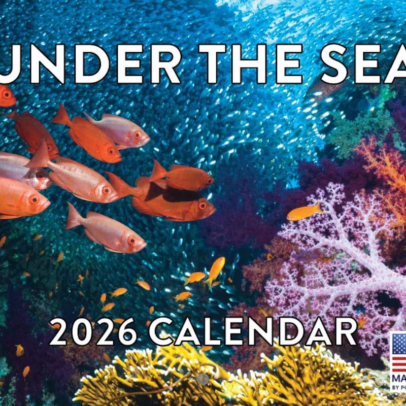 2026 Wall Calendars Fish - Etsy