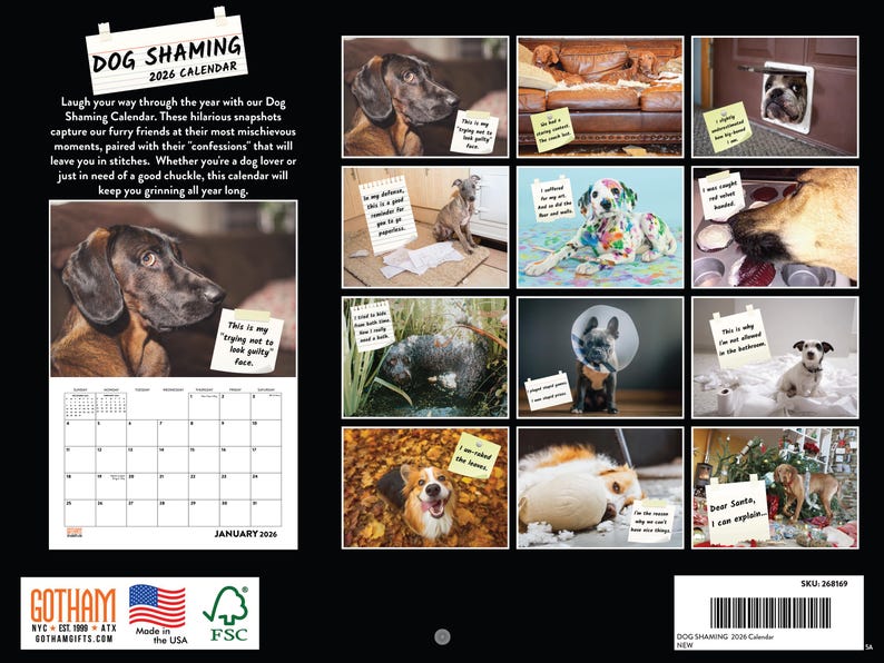 Dog Shaming Calendar 2026 Monthly Wall Calender 12 Month | American ...