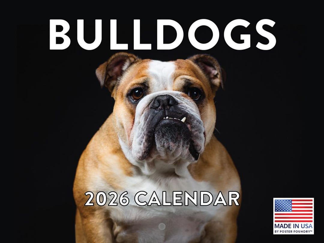 Bulldog Calendar 2026 Bull Dog Monthly Wall Calender 12 Month ...