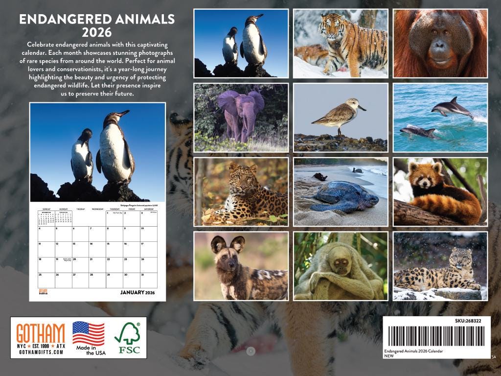 Endangered Animals Calendar 2026 Wildlife Monthly Wall Calender 12 ...