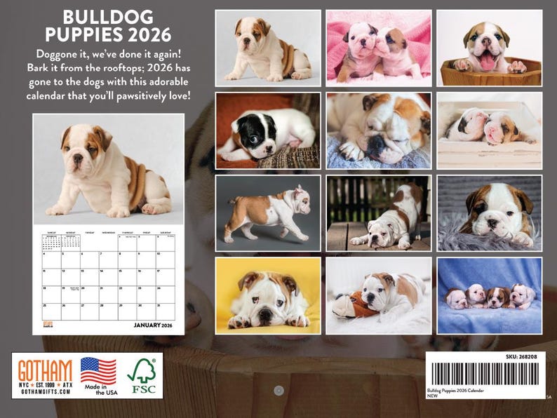 Bulldog Puppy Calendar 2026 Monthly Wall Calender 12 Month | American ...