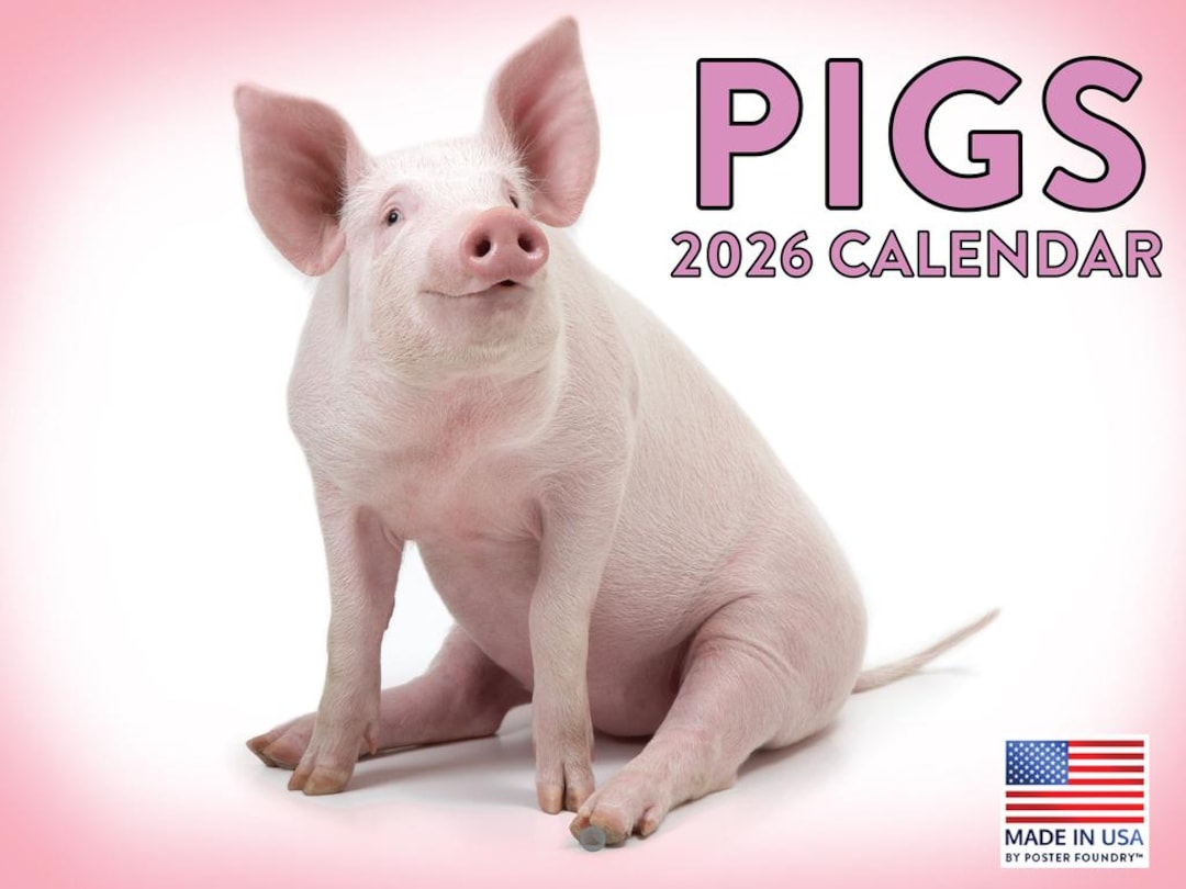 Pig Calendar 2026 Monthly Wall Calender 12 Month | American Made in the ...