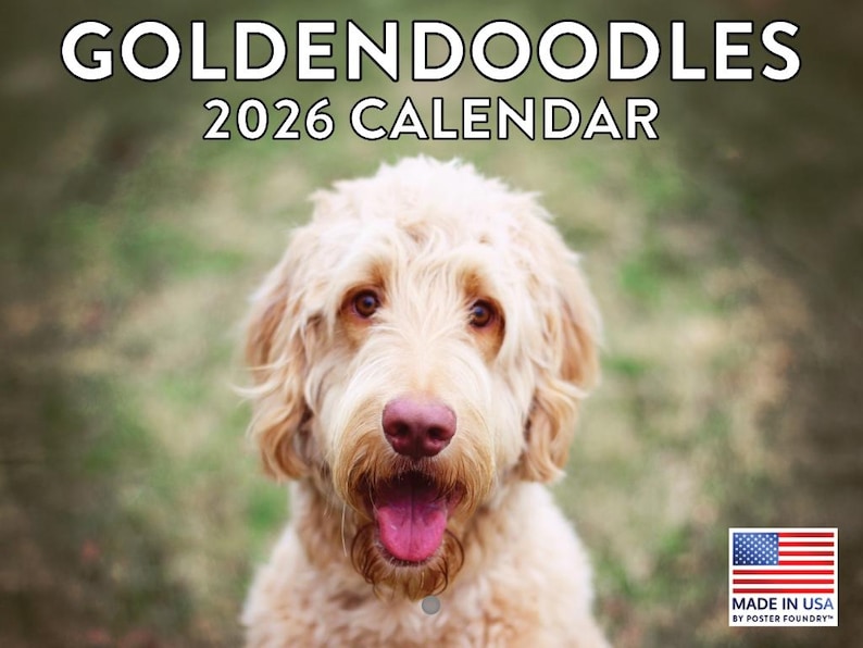 Goldendoodle Calendar 2026 Golden Doodle Monthly Wall Calender 12 Month ...