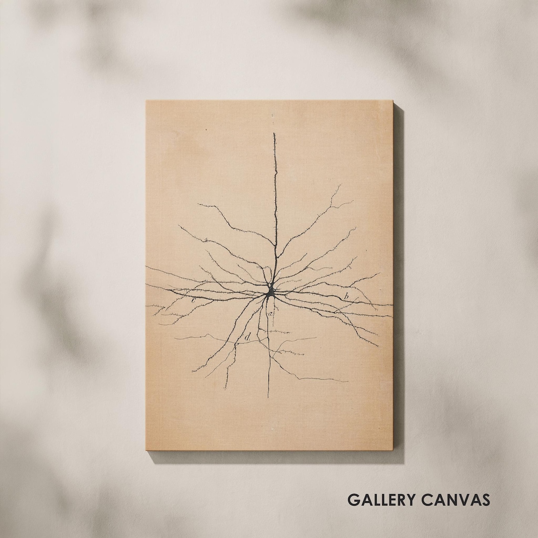 Neuron Print, Santiago Ramón Y Cajal Poster, Neuron Painting, Neurons ...