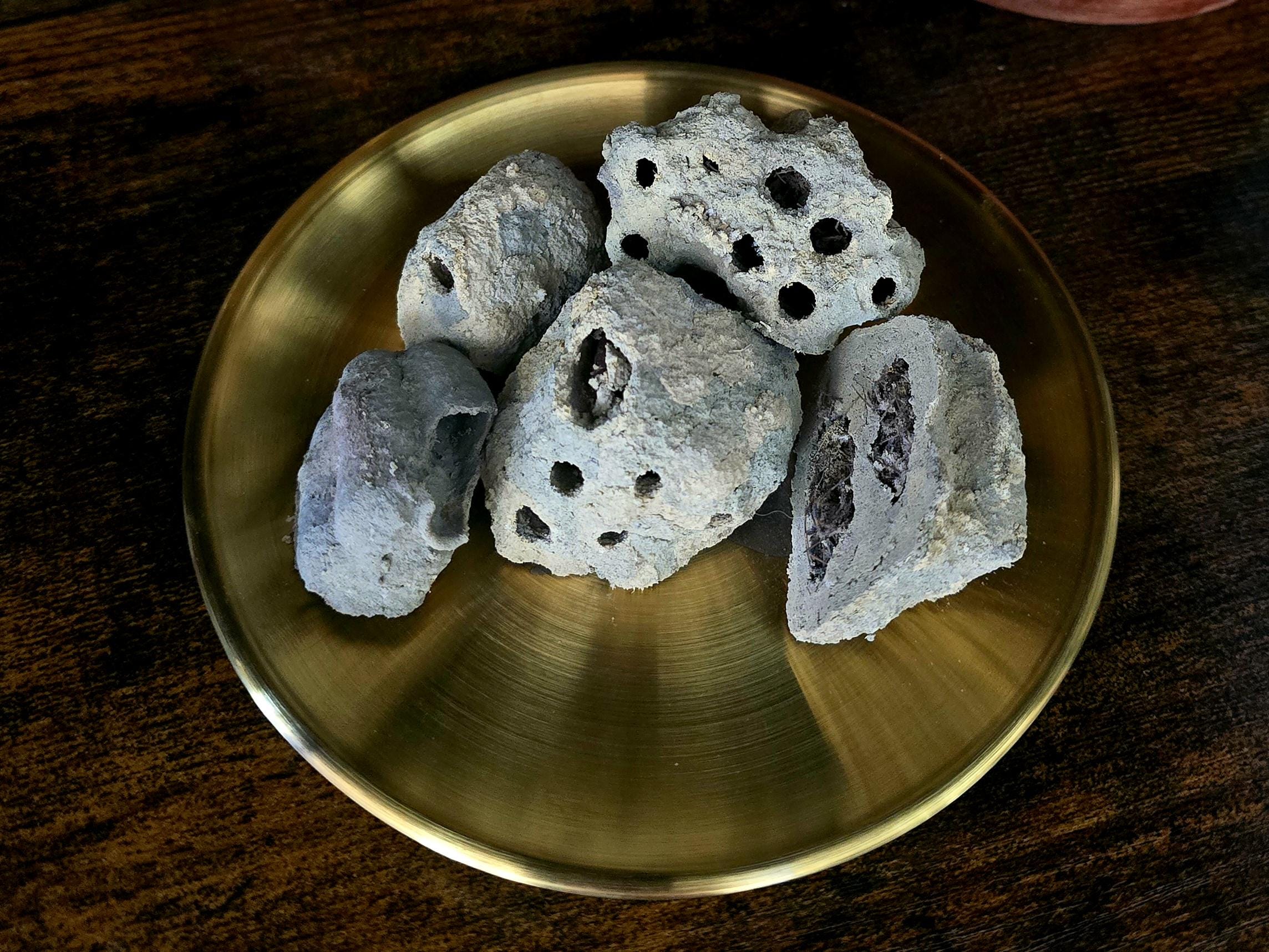 One Dirt | Mud Dauber Nests | Spells, Protection and Domination - Etsy