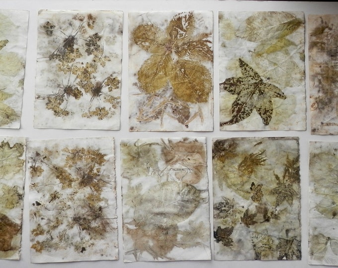 Eco Printed Leaves on Watercolour Paper, Original Leaf Prints - Etsy