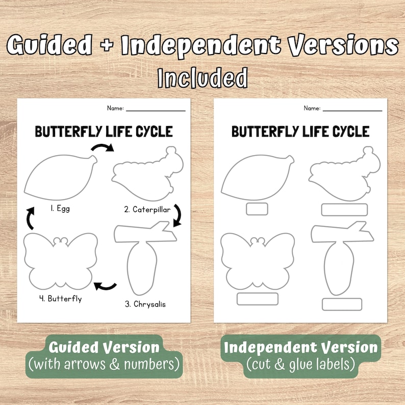 Butterfly Life Cycle Cut & Glue Craft | Printable Color and Assemble ...