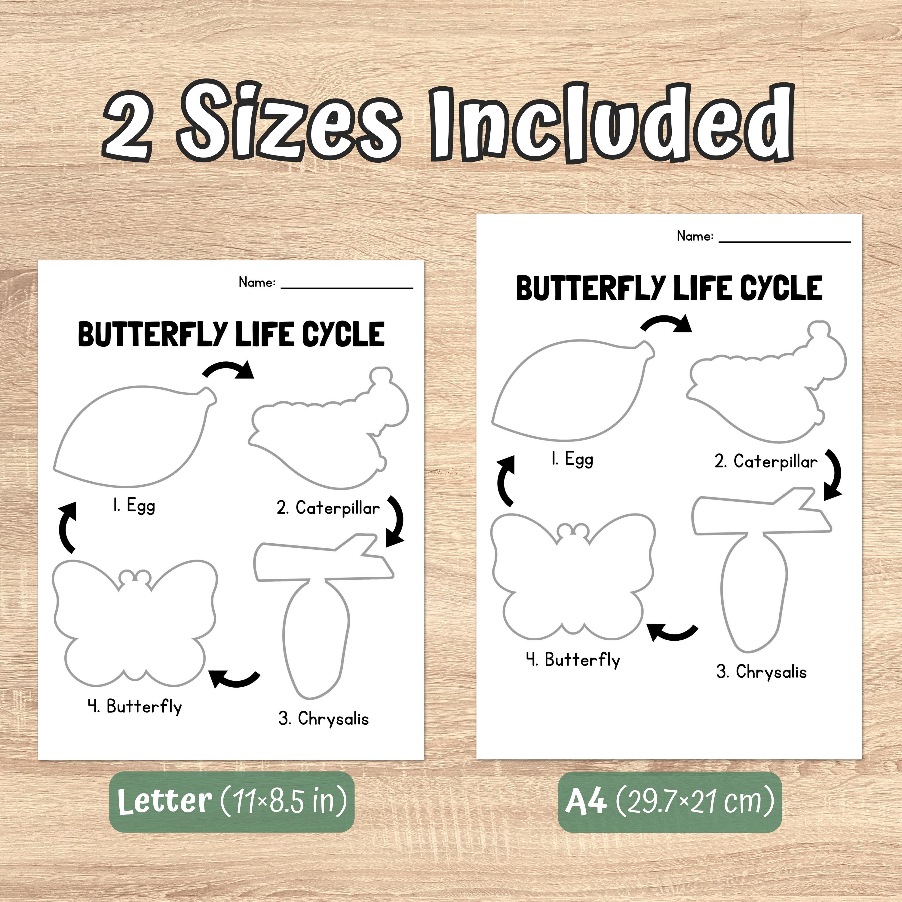 Butterfly Life Cycle Cut & Glue Craft | Printable Color and Assemble ...