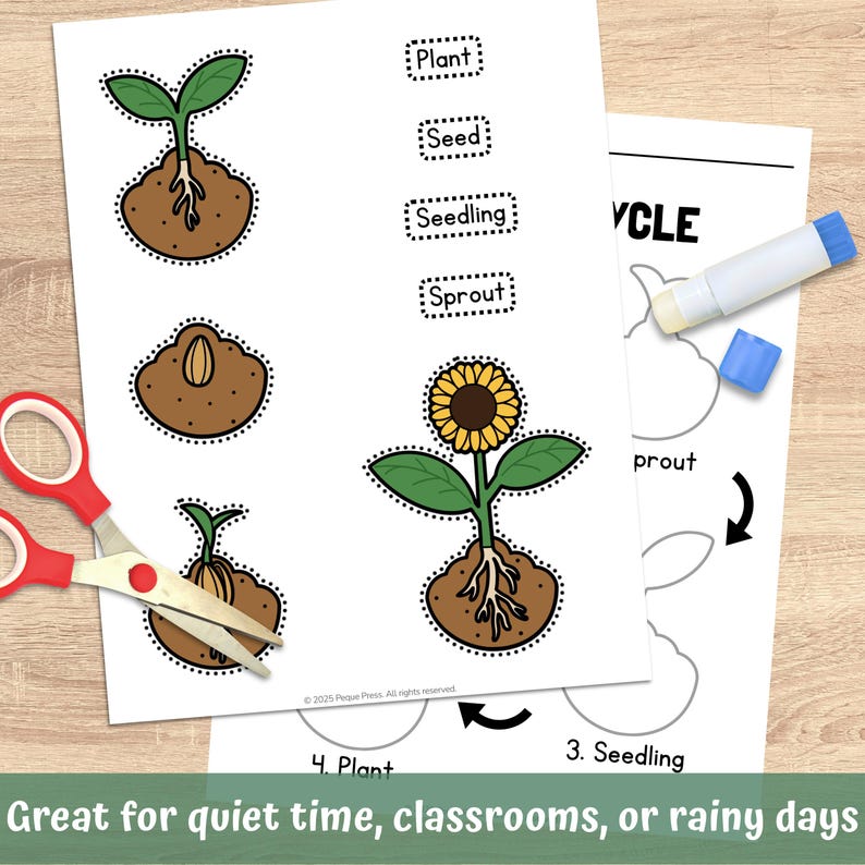 Plant Life Cycle Cut & Glue Craft | Printable Color and Assemble ...