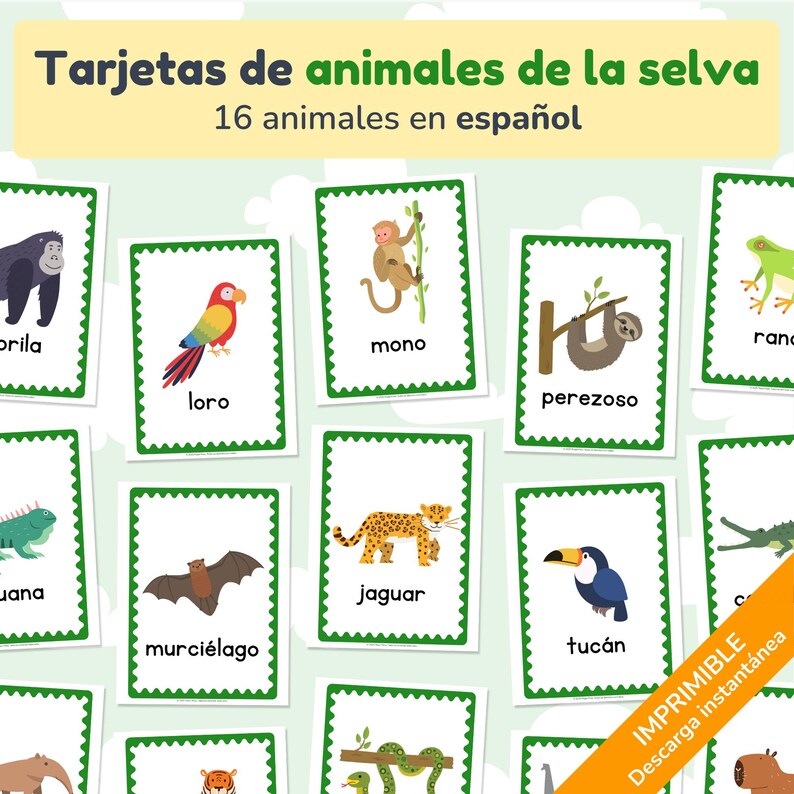 Spanish Jungle Animals Flashcards: Animales De La Selva (printable PDF ...