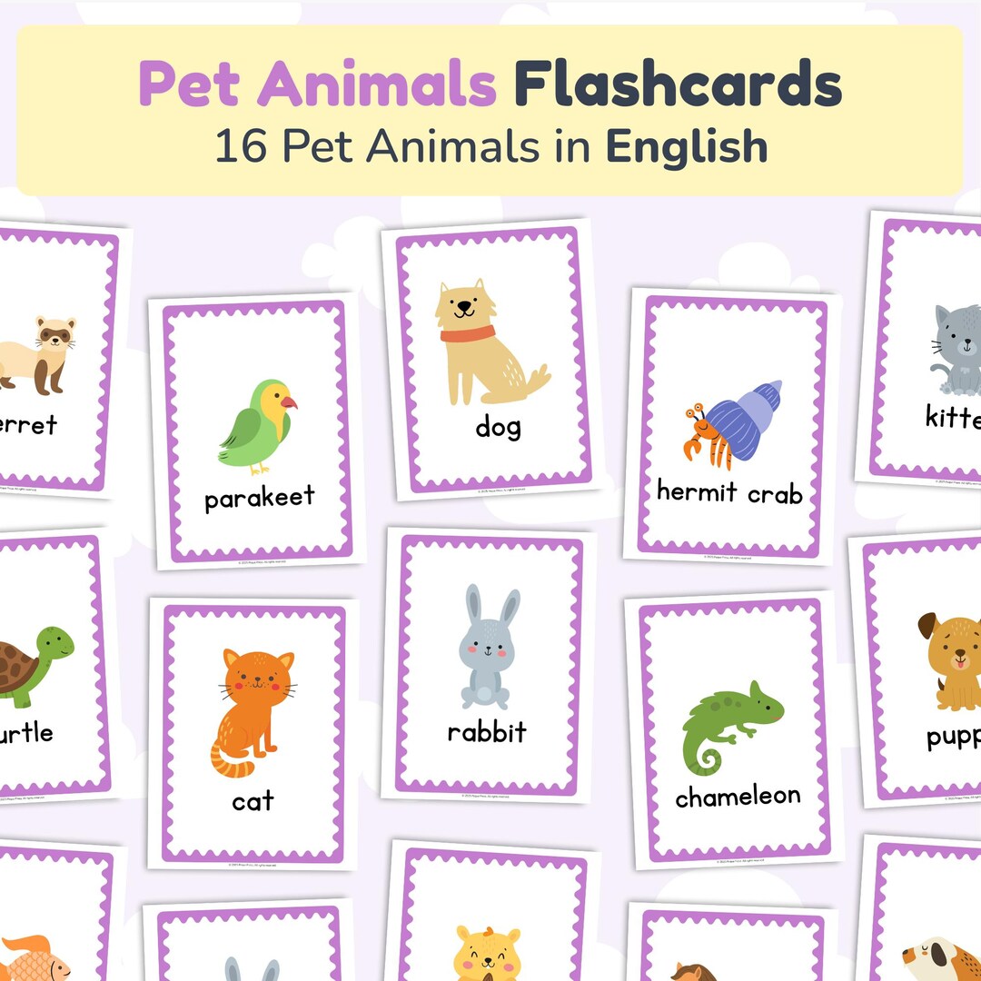 Pet Animals Flashcards: English Kids Learning Cards (printable PDF) - Etsy