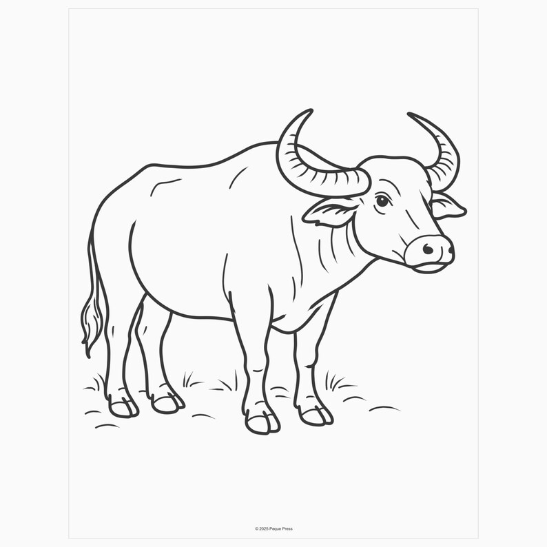 Water Buffalo Coloring Page | Printable Wildlife Animal Sheet (PDF ...