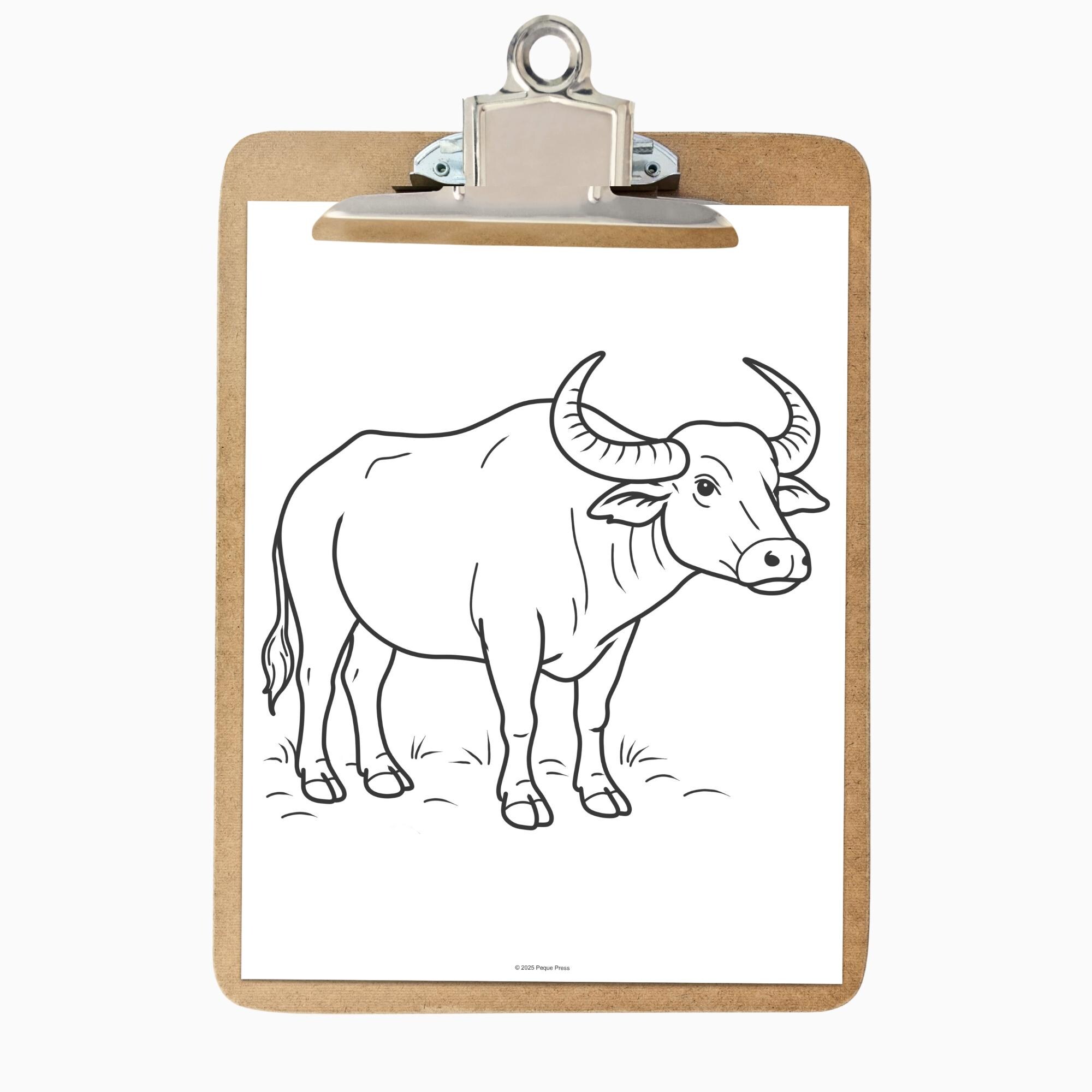Water Buffalo Coloring Page | Printable Wildlife Animal Sheet (PDF ...