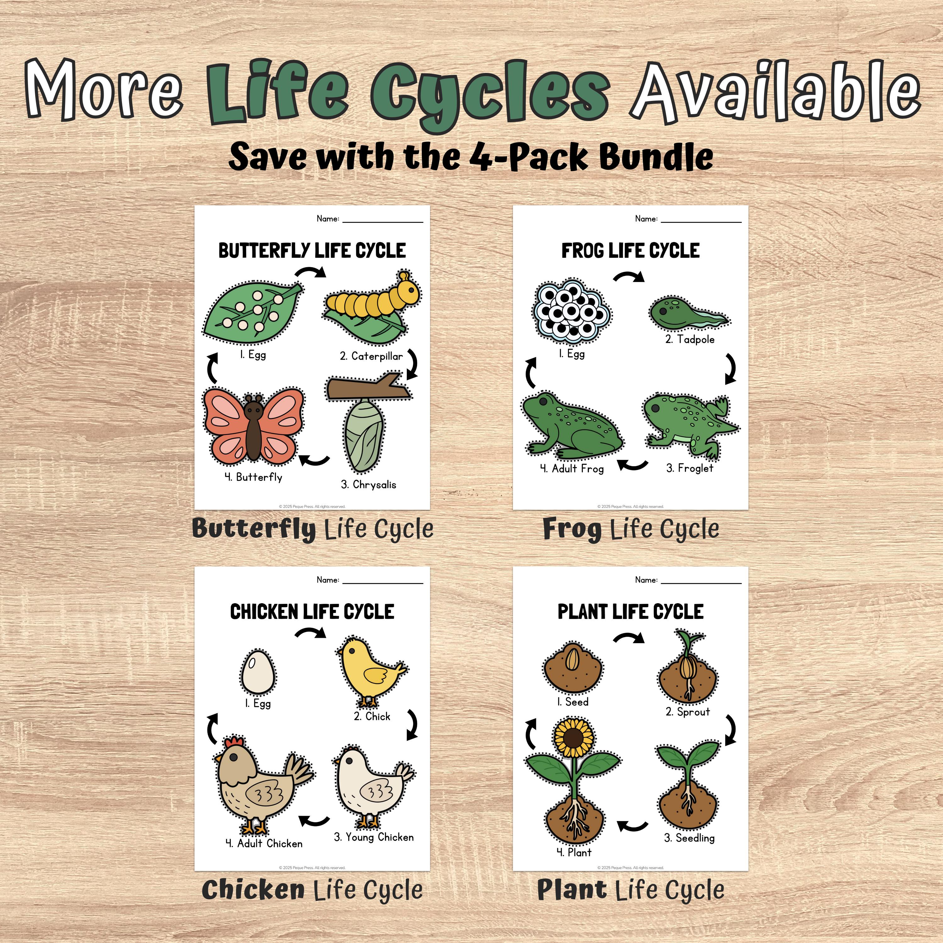 Plant Life Cycle Cut & Glue Craft | Printable Color and Assemble ...