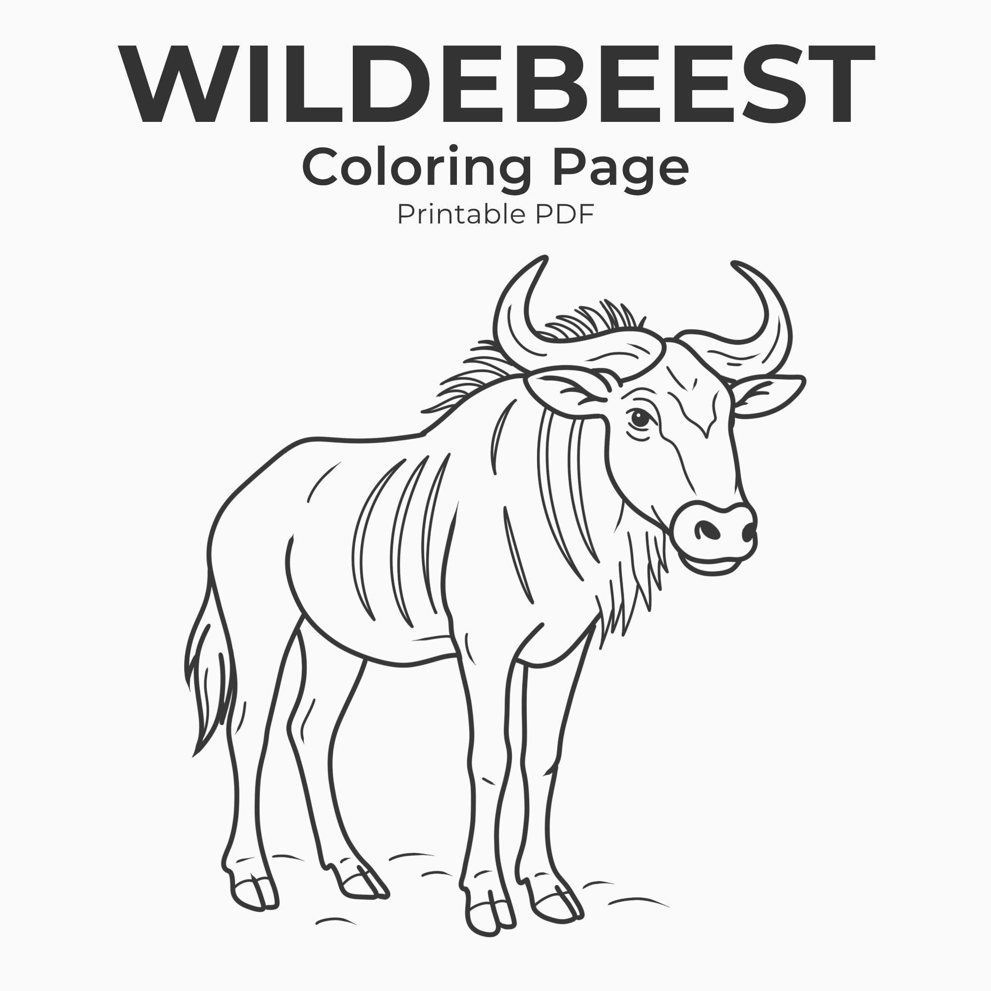 Wildebeest Coloring Page | Printable Wildlife Animal Sheet (PDF ...
