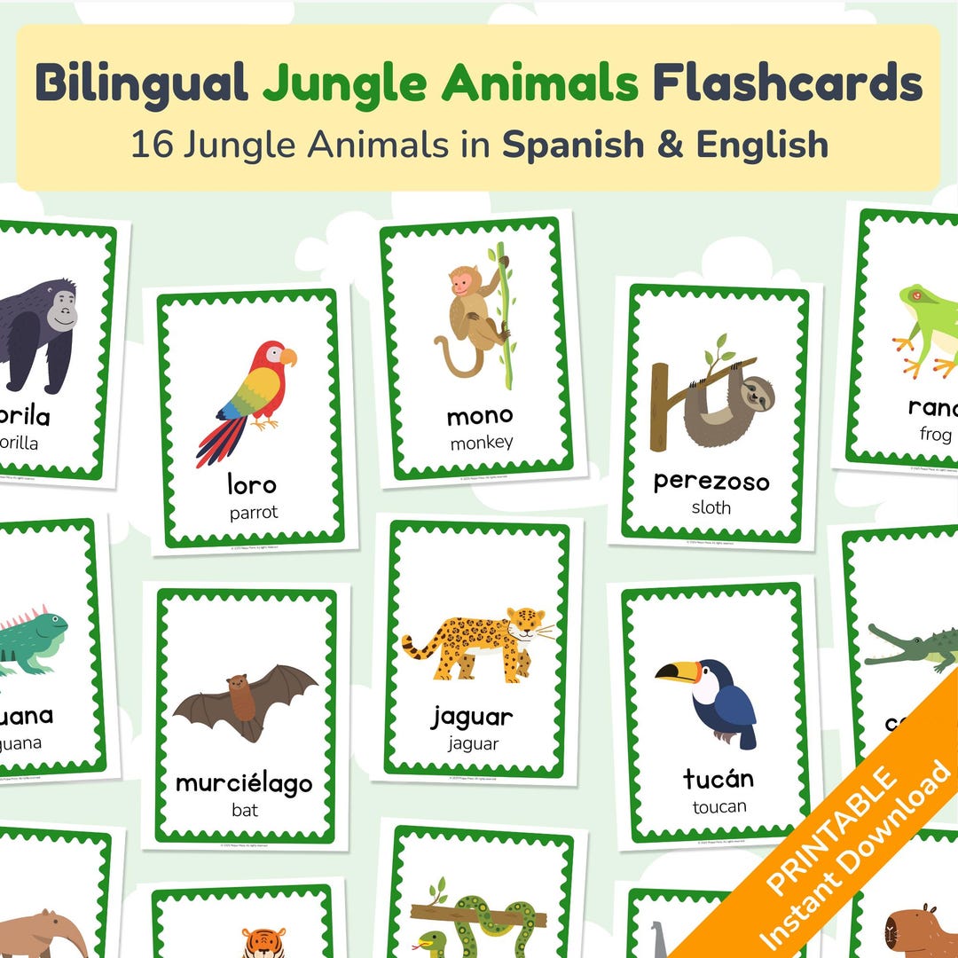 Bilingual Jungle Animals Flashcards: Spanish English Learning Cards ...