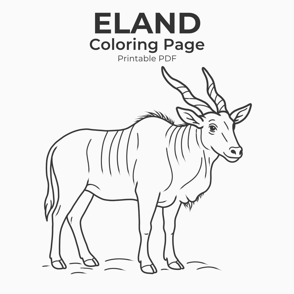 Eland Coloring Page | Realistic Wildlife Animal Printable (PDF Download ...